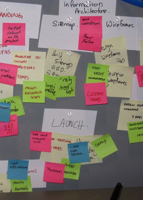 Consulting Services / Project Management - TnT Solutions - Your ...